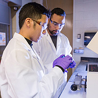 Texas Tech University | TTU